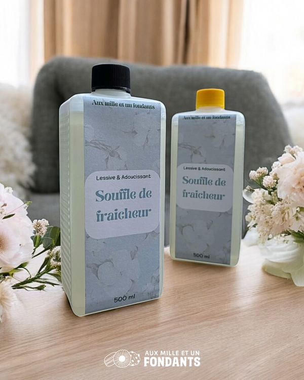 Lessive "Souffle de fraicheur" 500ml – Aux mille et un fondants